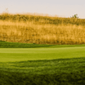 TPC Colorado
