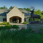 The John Deere Classic - TPC.com | TPC Deere Run