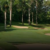 TPC Dorado Beach | Golf Course & Resort in Dorado, Puerto Rico | TPC.COM