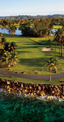 TPC Dorado Beach | Golf Course & Resort in Dorado, Puerto Rico | TPC.COM