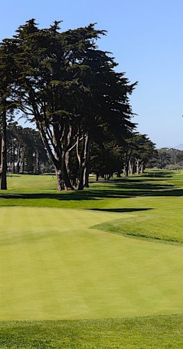 TPC Harding Park: Golf, Tee Times in San Francisco, CA - TPC.com