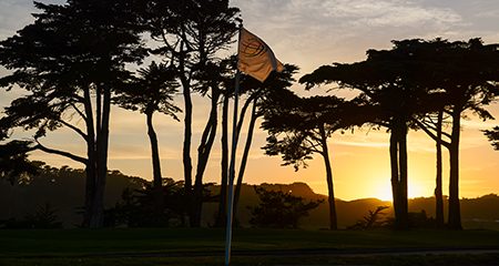 TPC Harding Park: Golf, Tee Times in San Francisco, CA - TPC.com