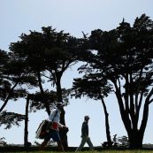Fleming 9 Course - TPC Harding Park, San Francisco, CA - TPC.com | TPC ...