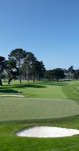 The 2020 PGA Championship at TPC Harding Park. Golf, Tee Times in San ...
