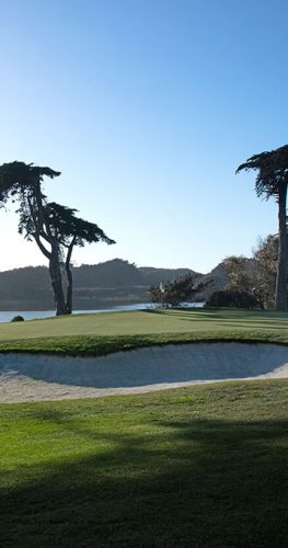 The 2020 PGA Championship at TPC Harding Park. Golf, Tee Times in San ...