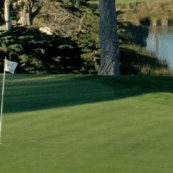 Fleming 9 Course - TPC Harding Park, San Francisco, CA - TPC.com | TPC ...