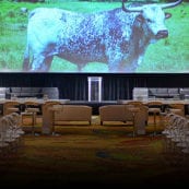 Oaks Course at TPC San Antonio - TPC.COM | TPC San Antonio