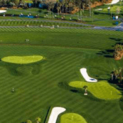 THE PLAYERS Stadium Course at TPC Sawgrass - TPC.COM | TPC Sawgrass