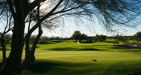 TPC Scottsdale: Courses, Golf Tee Times in Arizona - TPC.com