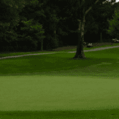 About TPC Southwind: Private Golf Club in Memphis, TN | TPC.COM | TPC ...