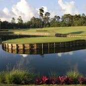 Find a TPC | tpc.com