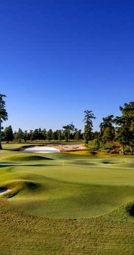 TPC Network - Official Website | TPC.com